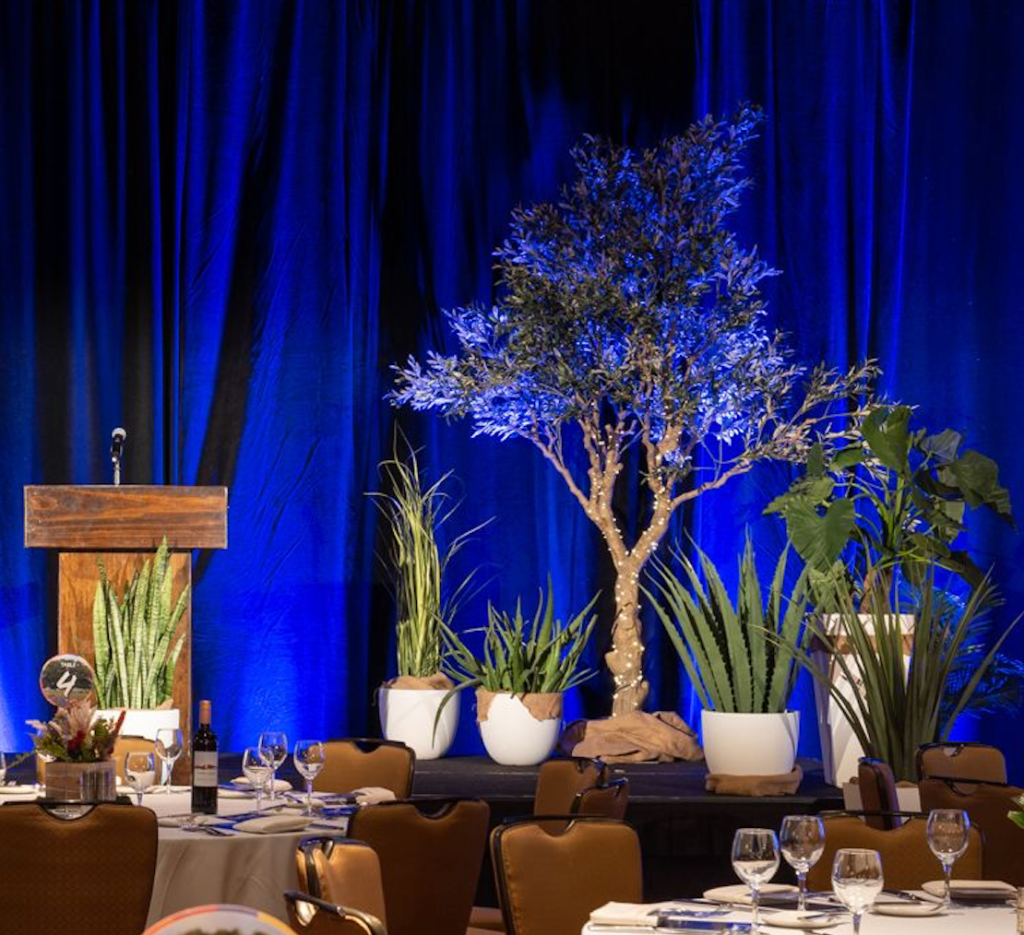 Incorporating Greenery into Events - Ambiance, Foliage & Decor